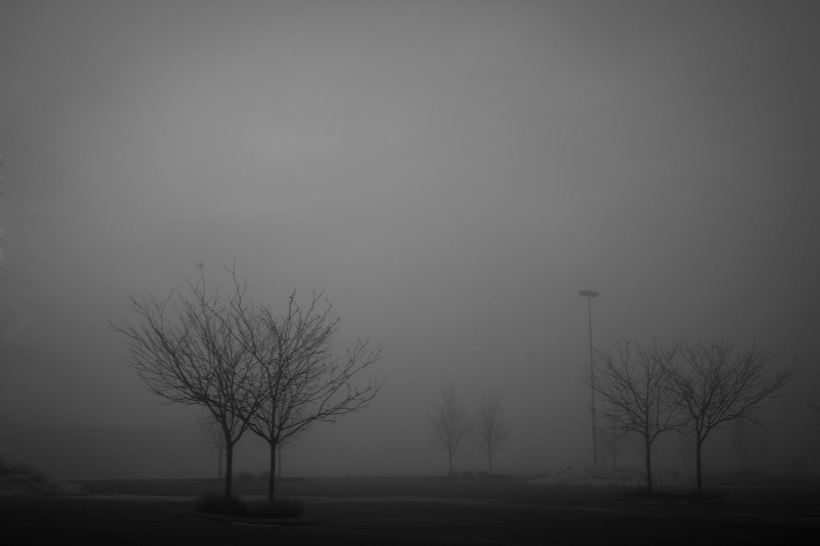 Friday Fog - thePaulCushing